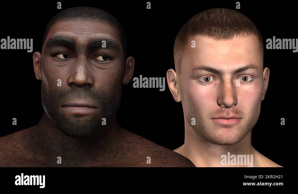 Pleistocene ancestor Stock Videos & Footage - HD and 4K Video Clips - Alamy