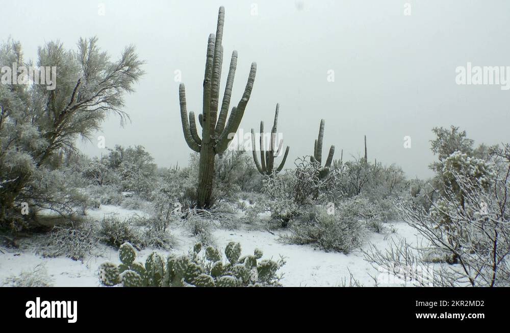 Desert wonderland Stock Videos & Footage - HD and 4K Video Clips - Alamy