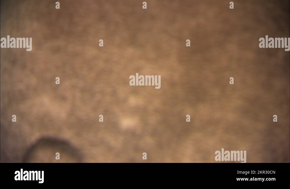 Cambridge university campus gate Stock Videos & Footage - HD and 4K ...