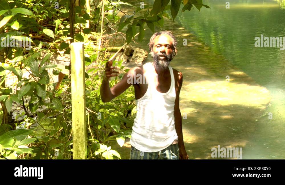 Rasta weed Stock Videos & Footage - HD and 4K Video Clips - Alamy