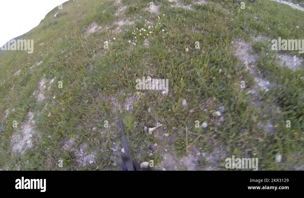 armed soldiers walking through field. soldiers running with Machine gun ...