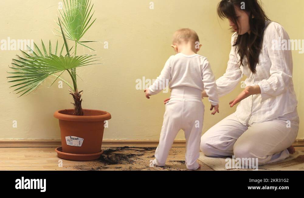 Mother scolding her baby because he played with soil from flower spot ...