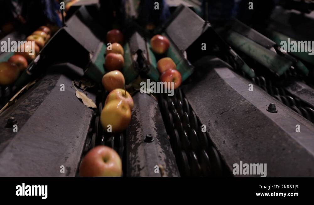 Apple production line Stock Videos & Footage - HD and 4K Video Clips ...