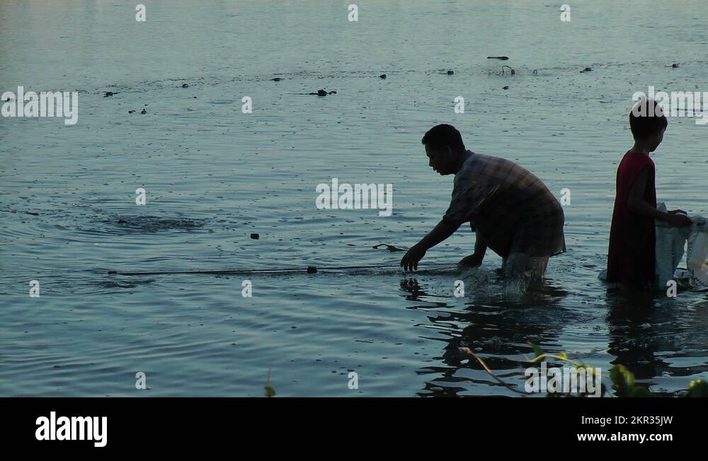 Harvesting Milkfish on a Fish farm on Panay island in the Philippines ...