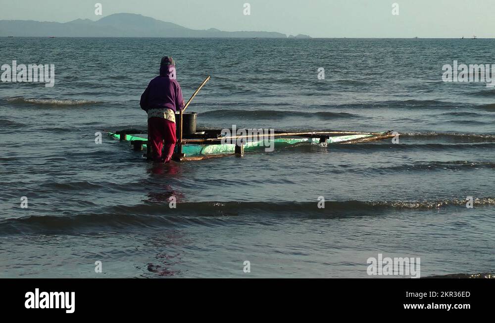 Filipino woman catching Milkfish fry in shallow water in Philippines ...