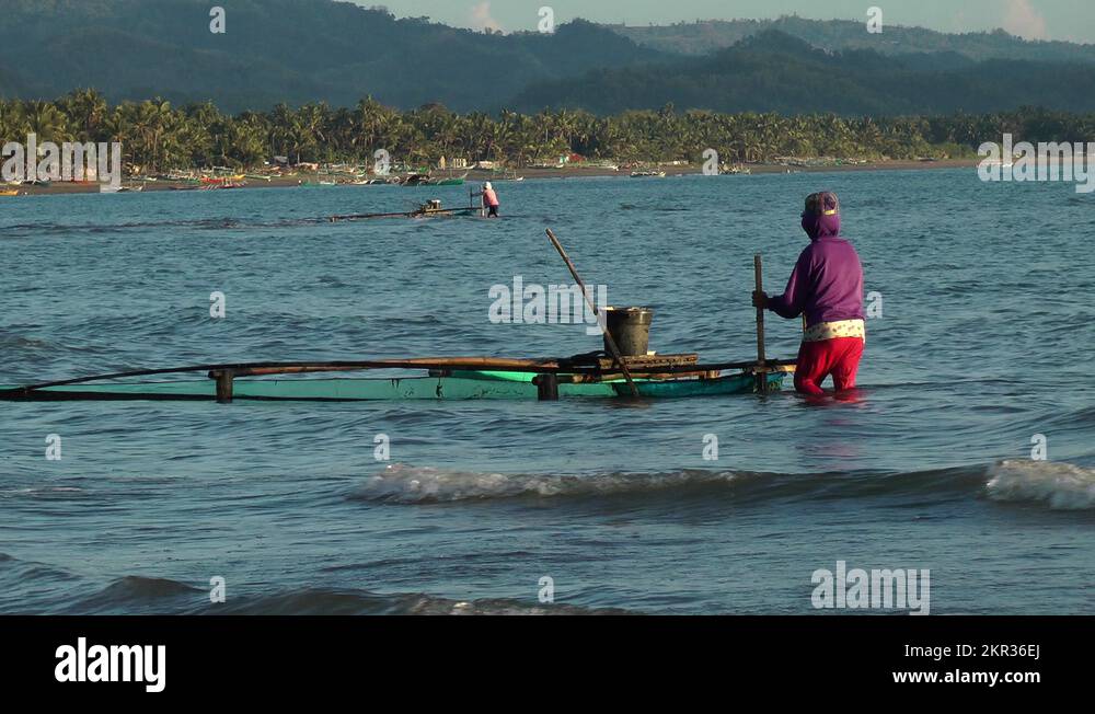 Filipino woman catching Milkfish fry in shallow water in Philippines ...