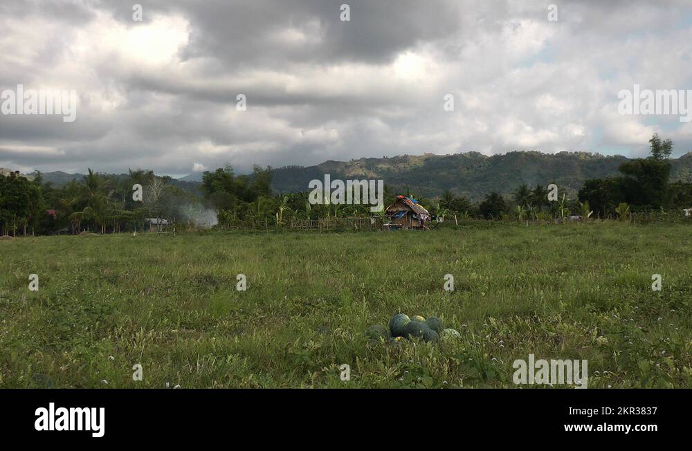 Farmland with water melons in the philippines Stock Video Footage - Alamy