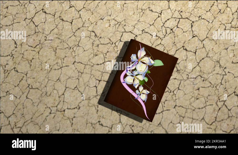 Learning tree book cover Stock Videos & Footage - HD and 4K Video Clips ...