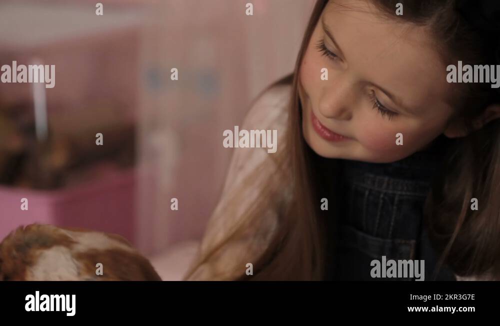 Kid with hamster Stock Videos & Footage - HD and 4K Video Clips - Alamy