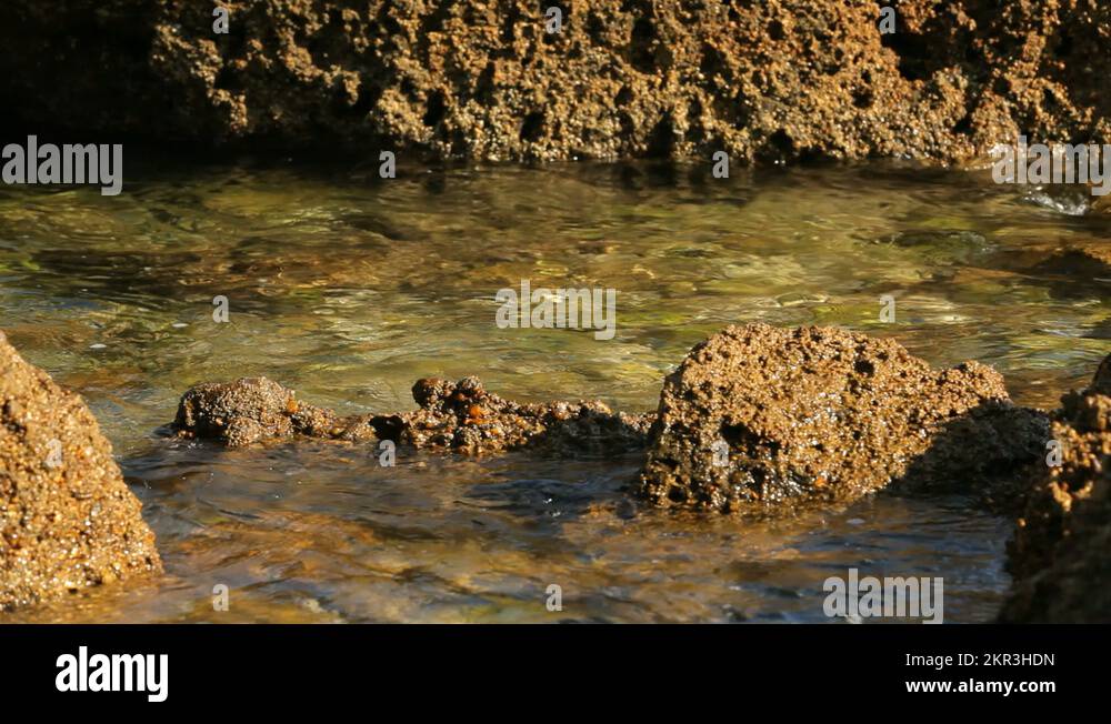 Water moving through rocks Stock Videos & Footage - HD and 4K Video ...