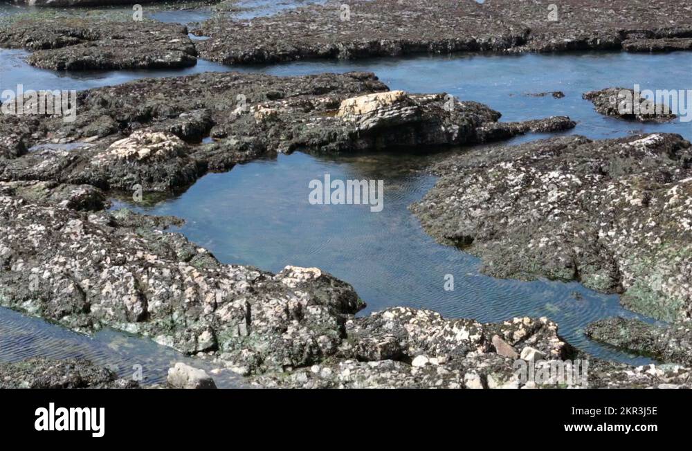 Pools sand seaside stones Stock Videos & Footage - HD and 4K Video ...