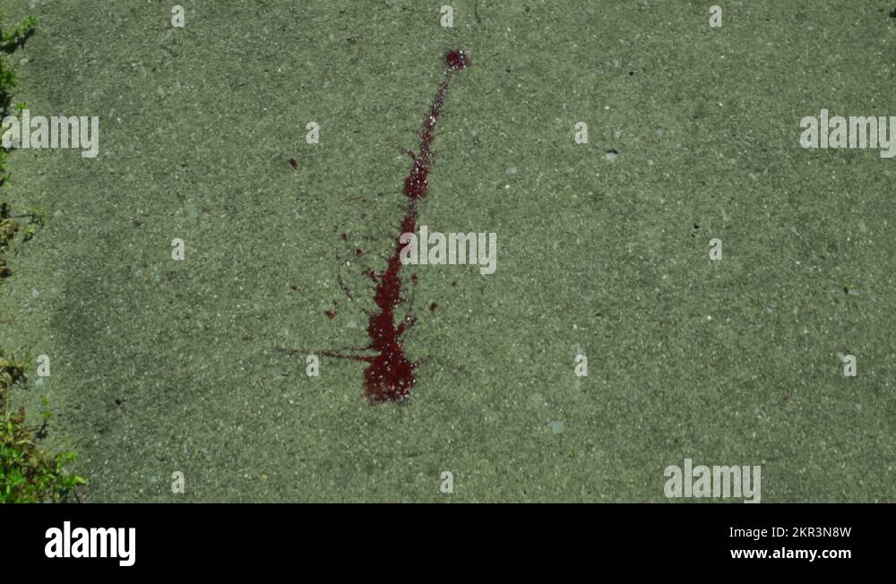 Blood trail Stock Videos & Footage - HD and 4K Video Clips - Alamy