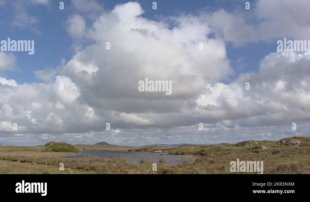 Peatland landscape Stock Videos & Footage - HD and 4K Video Clips - Alamy