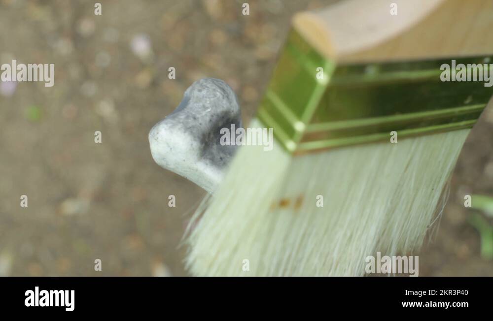 Bone archeology Stock Videos & Footage - HD and 4K Video Clips - Alamy