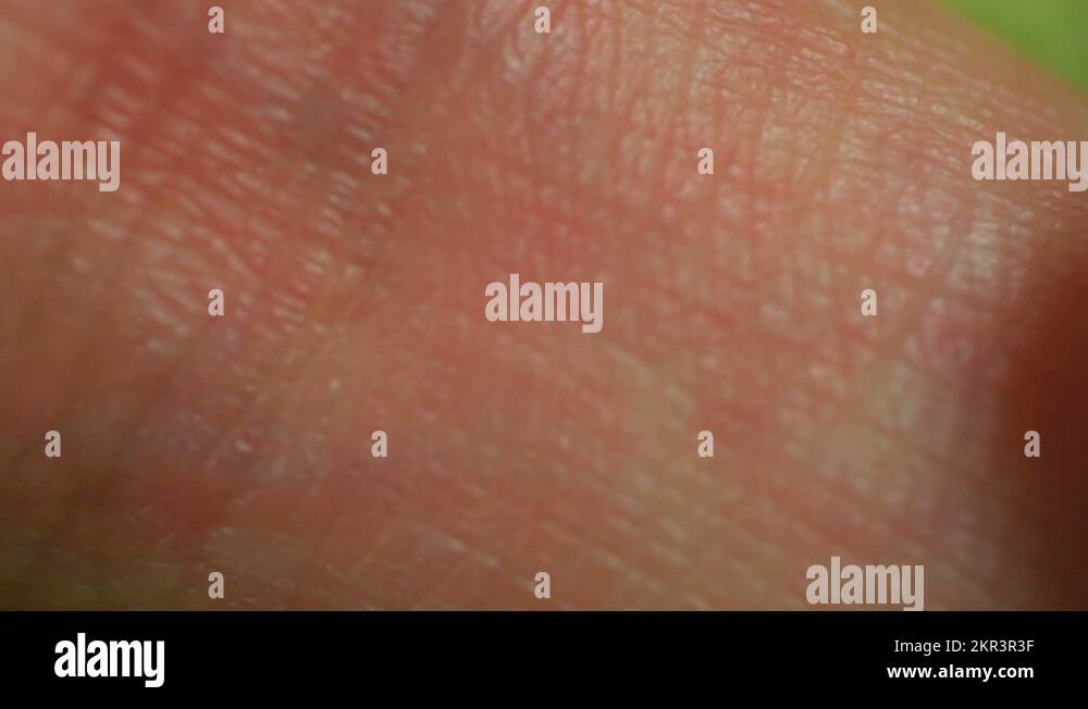 For the skin Stock Videos & Footage - HD and 4K Video Clips - Alamy