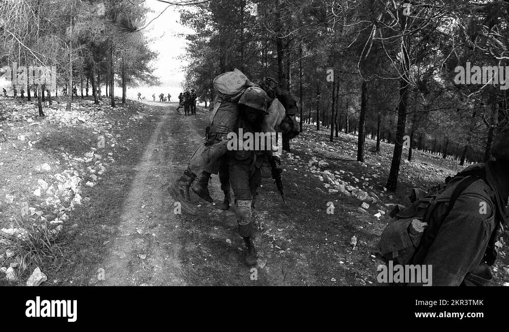 armed soldiers walking through field. soldiers running with Machine gun ...