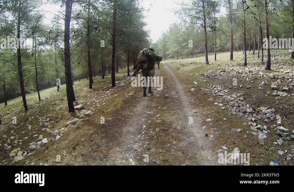 armed soldiers walking through field. soldiers running with Machine gun ...