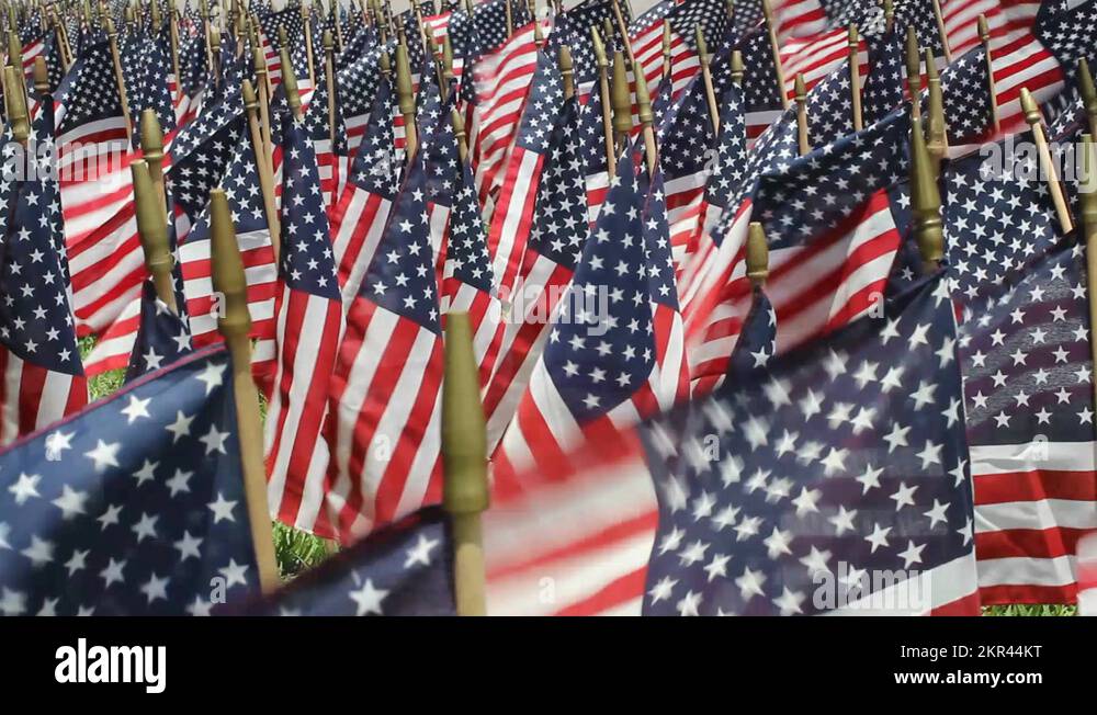 7 thousand Stock Videos & Footage - HD and 4K Video Clips - Alamy