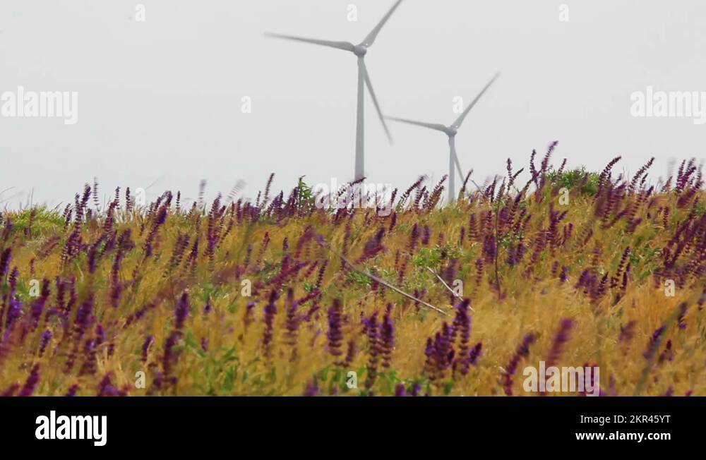 Strong wind turbines Stock Videos & Footage - HD and 4K Video Clips - Alamy