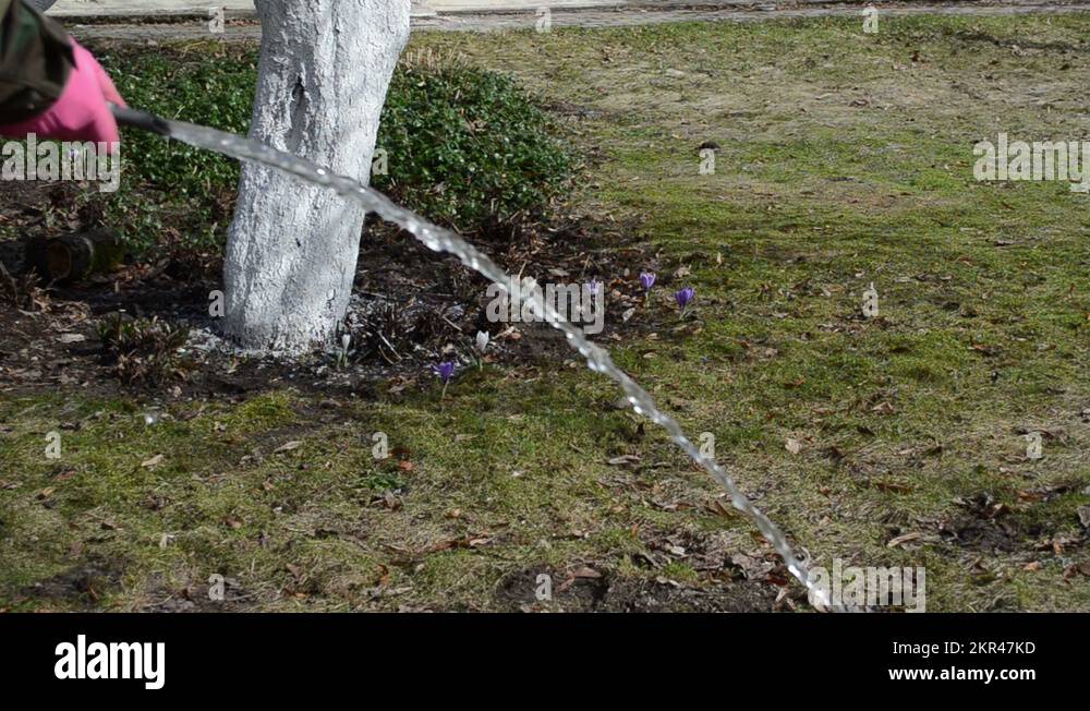 Hand holding garden hose Stock Videos & Footage - HD and 4K Video Clips ...