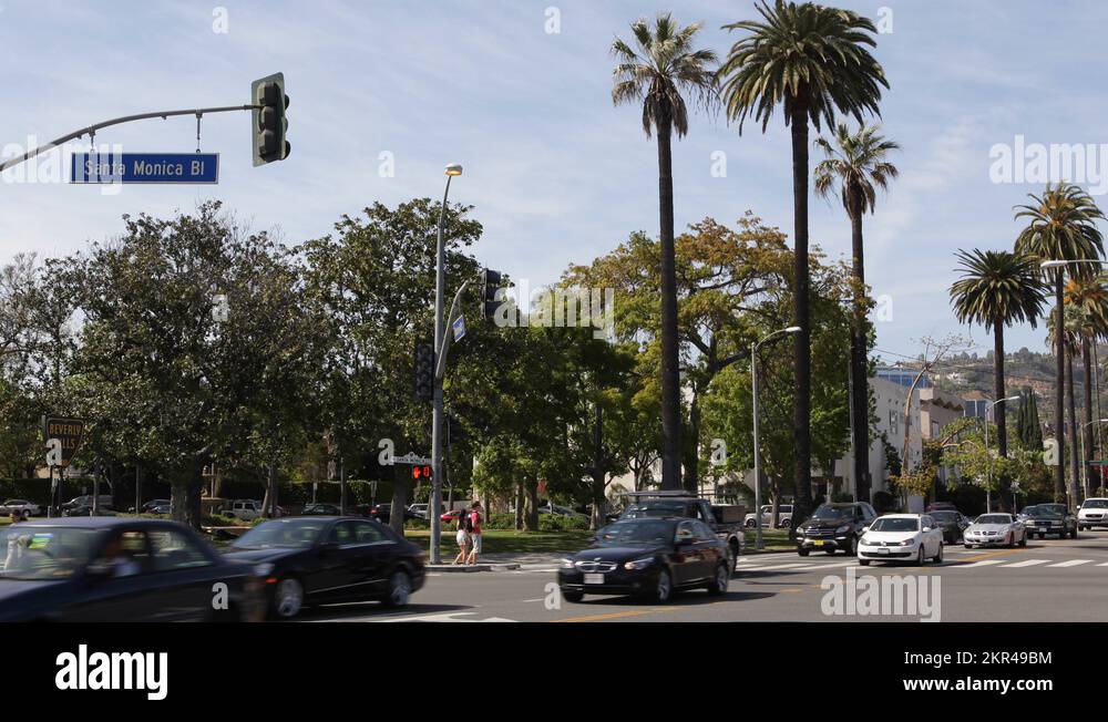 Car Traffic in Beverly Hills, Palm Trees, Santa Monica BLVD, Los ...