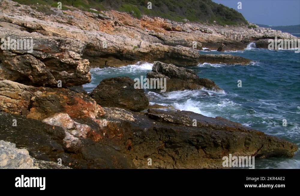 Costal ecosystem Stock Videos & Footage - HD and 4K Video Clips - Alamy