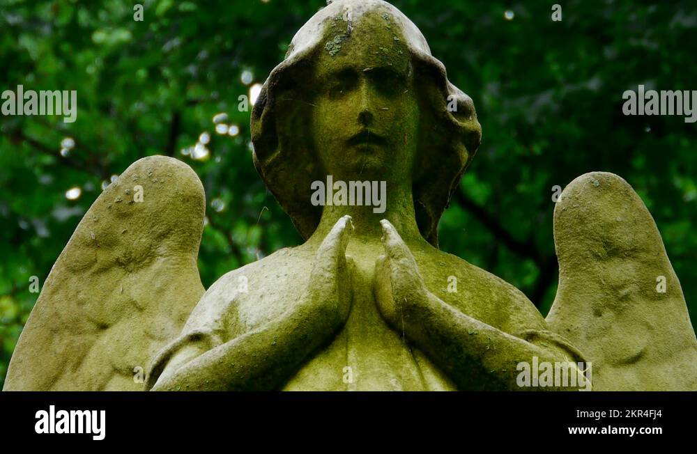 Angel praying statue Stock Videos & Footage - HD and 4K Video Clips - Alamy