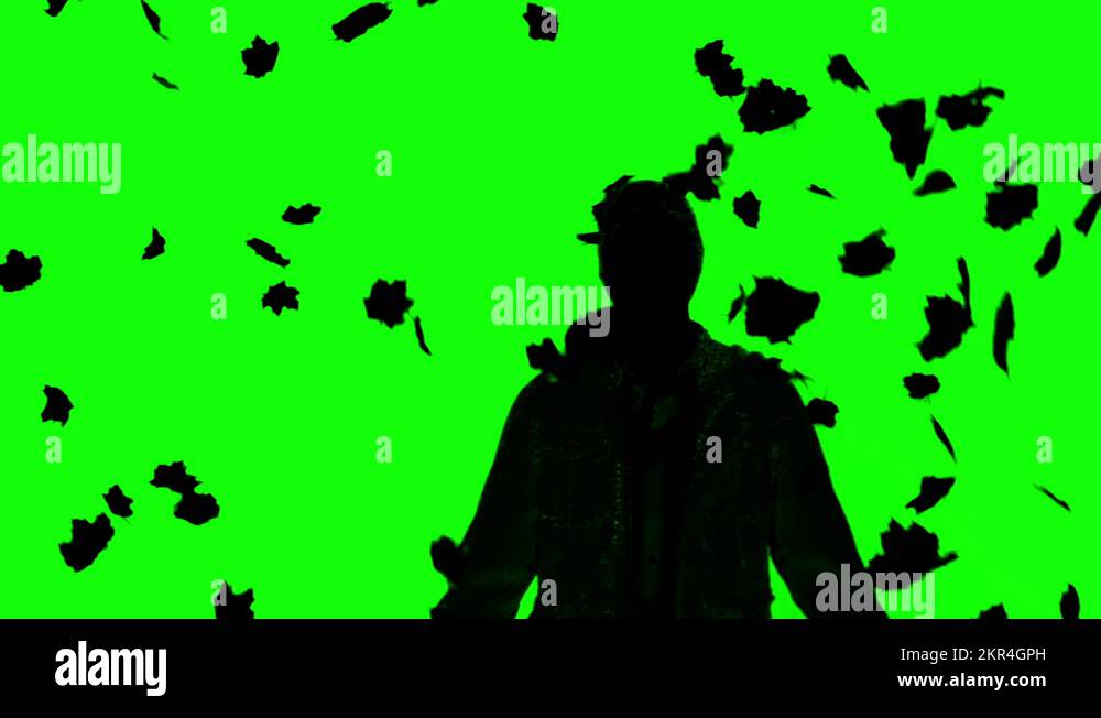 Silhouette of a man under falling leaves on green screen Stock Video ...