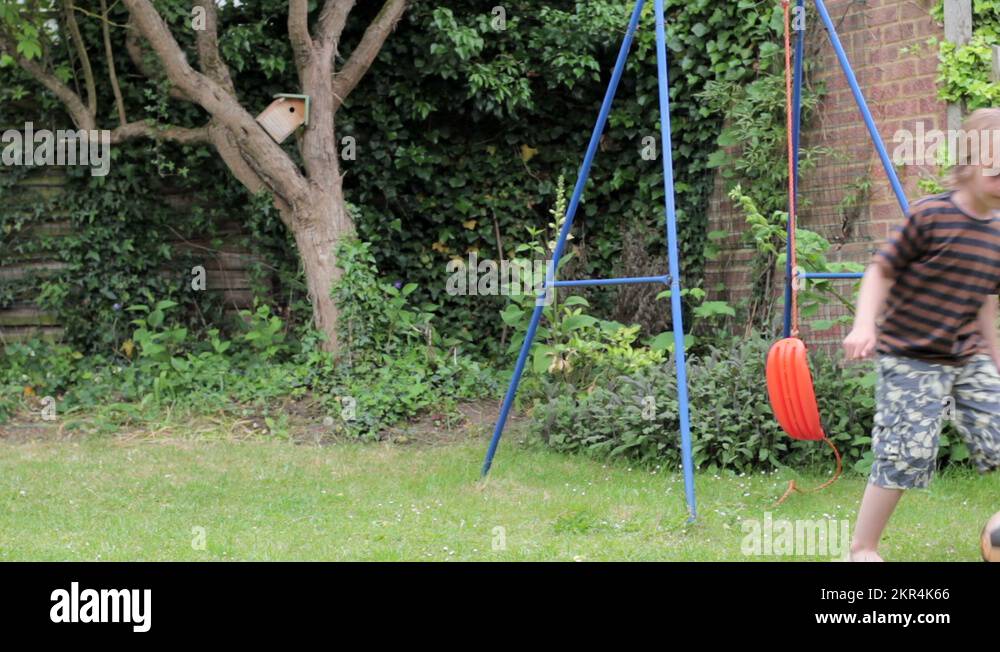 Ball of insects Stock Videos & Footage - HD and 4K Video Clips - Alamy