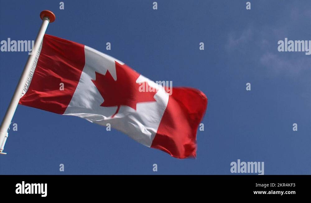 Blue maple leaf Stock Videos & Footage - HD and 4K Video Clips - Alamy