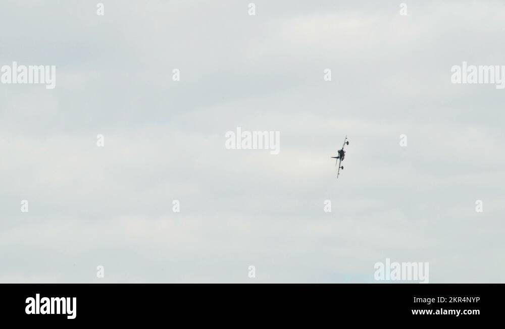 Hawk stripes Stock Videos & Footage - HD and 4K Video Clips - Alamy