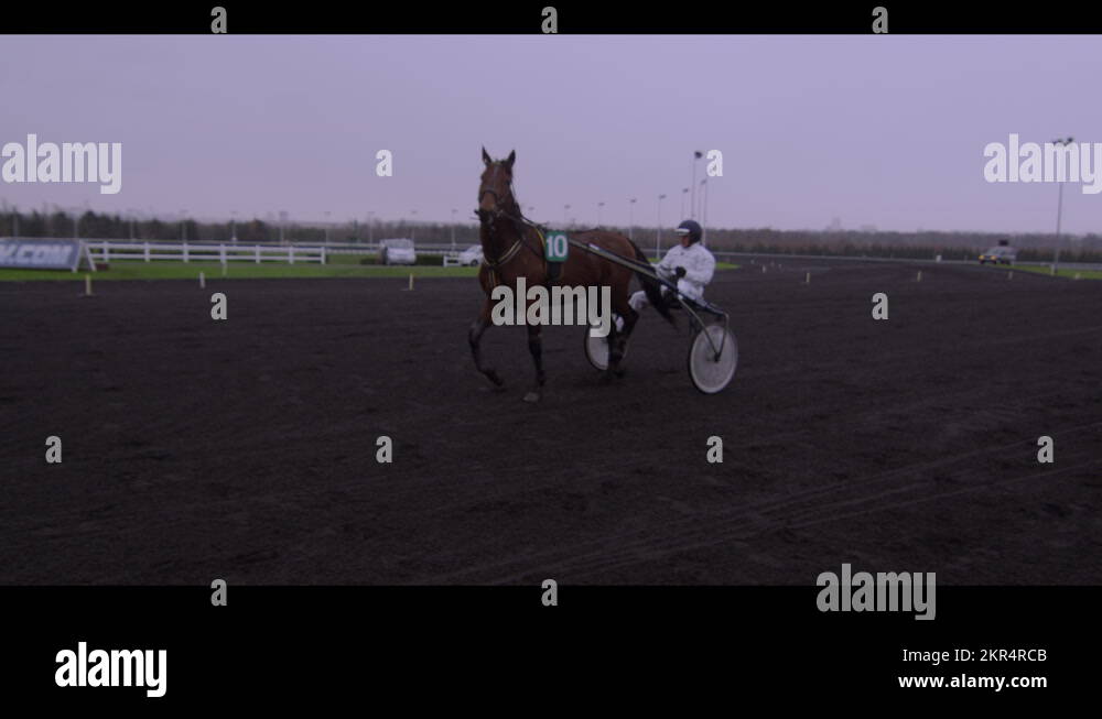 Horse riding racing Stock Videos & Footage - HD and 4K Video Clips - Alamy