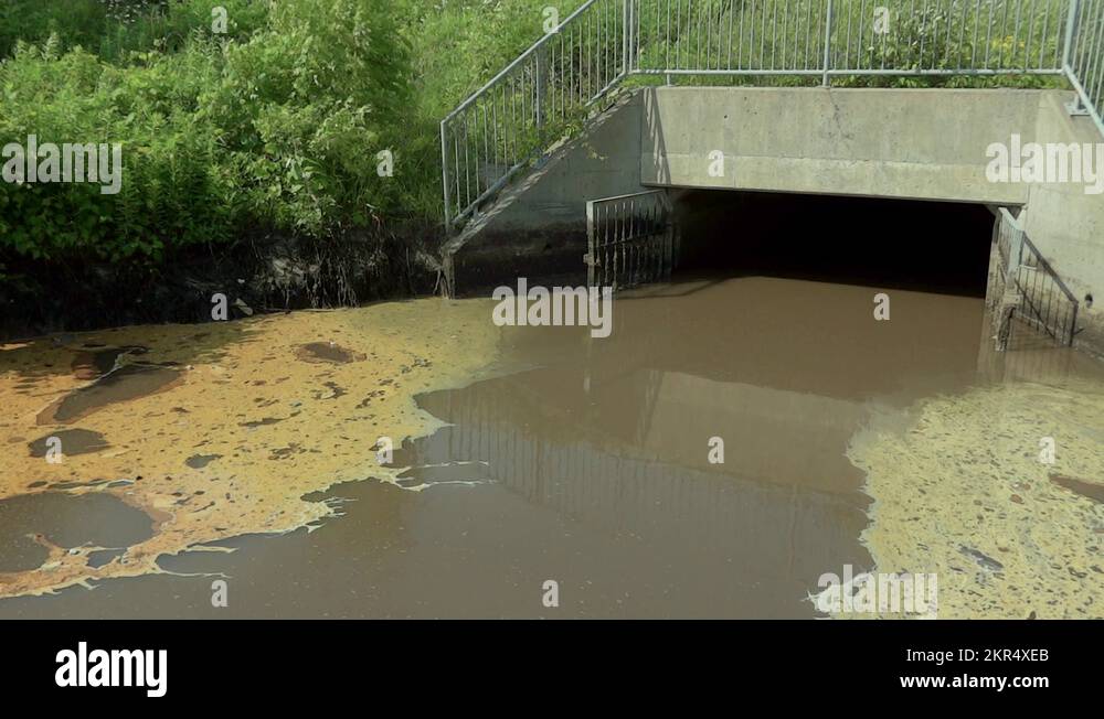 Sewer Pollution Oil Rejection Water Stock Video Footage - Alamy