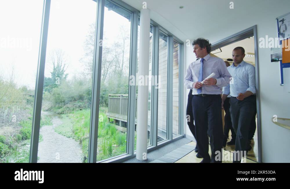 Boss surrounded Stock Videos & Footage - HD and 4K Video Clips - Alamy