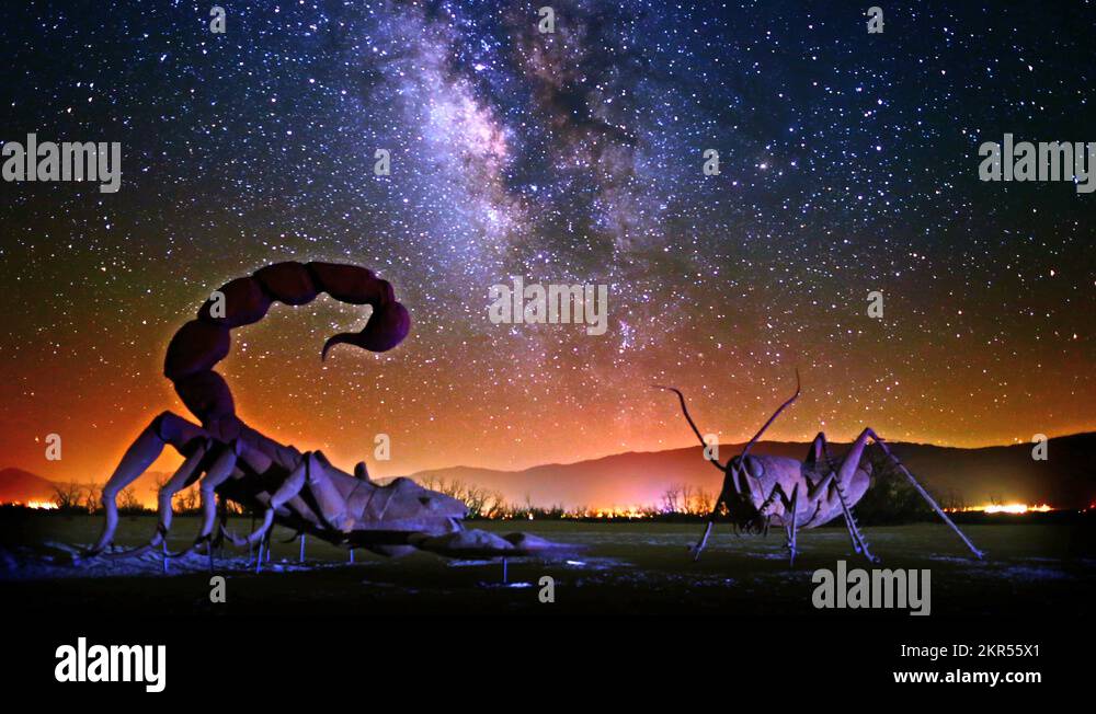 Giant insect prehistoric Stock Videos & Footage - HD and 4K Video Clips ...