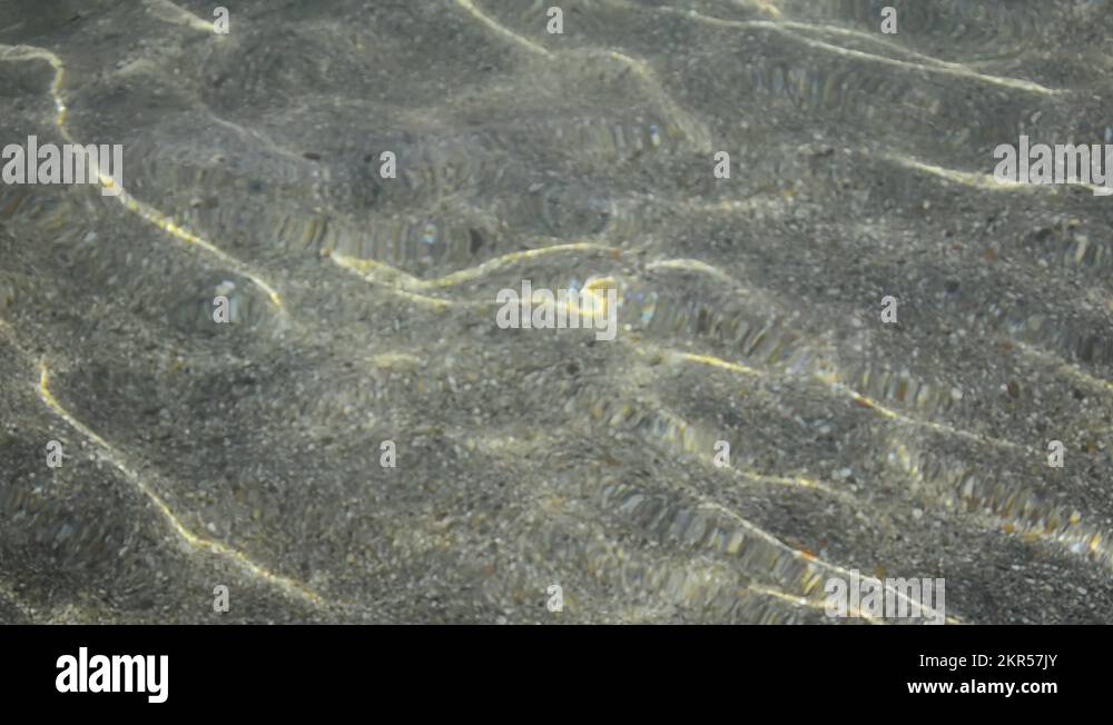 Visualization beach Stock Videos & Footage - HD and 4K Video Clips - Alamy