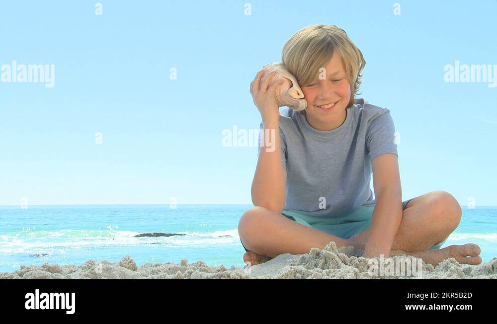 Young shell Stock Videos & Footage - HD and 4K Video Clips - Alamy