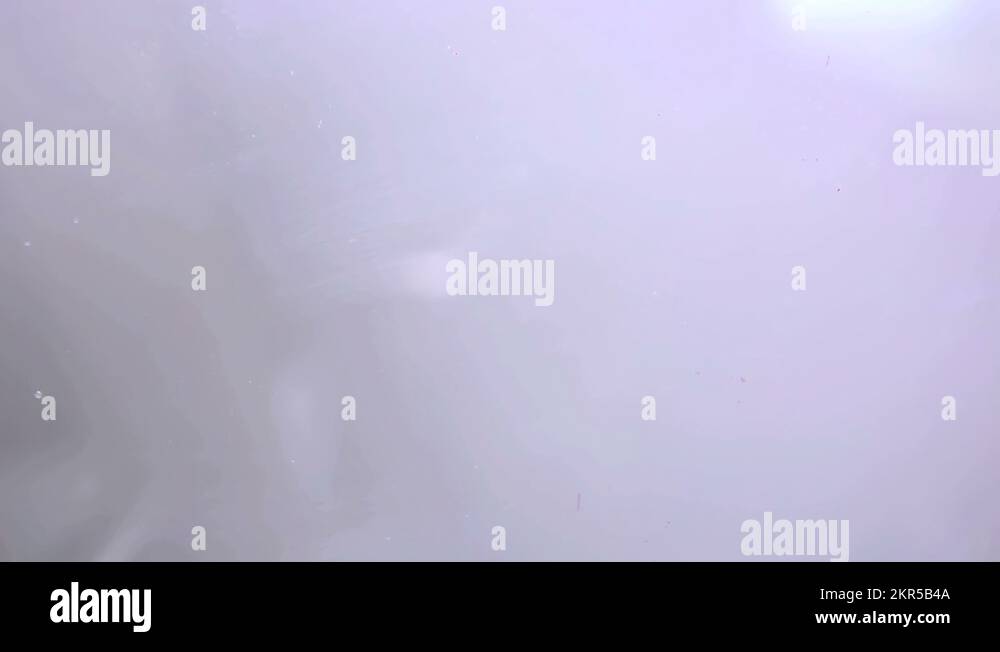 Kissing camera Stock Videos & Footage - HD and 4K Video Clips - Alamy