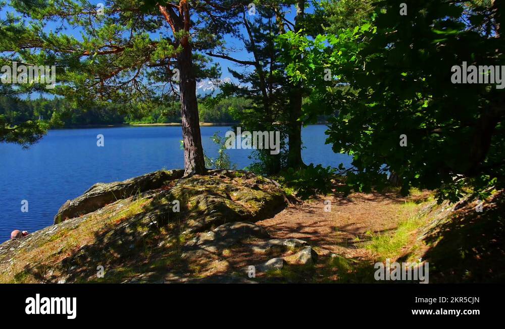 Forstsee Stock Videos & Footage - HD and 4K Video Clips - Alamy