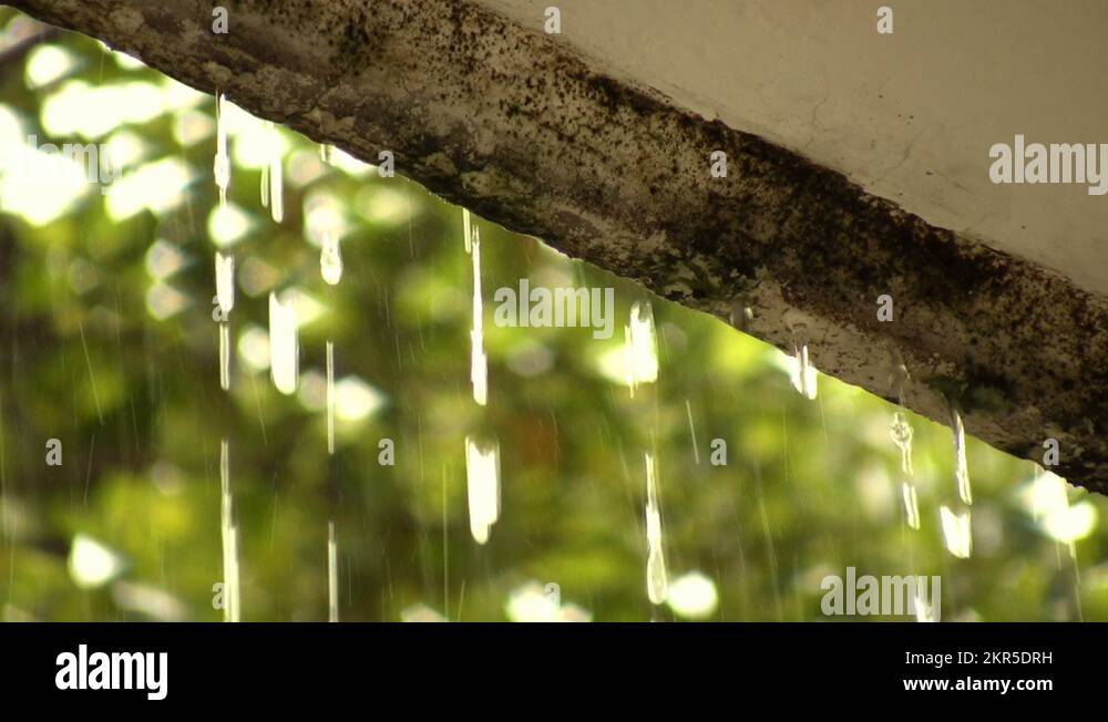 Ambient humidity Stock Videos & Footage - HD and 4K Video Clips - Alamy