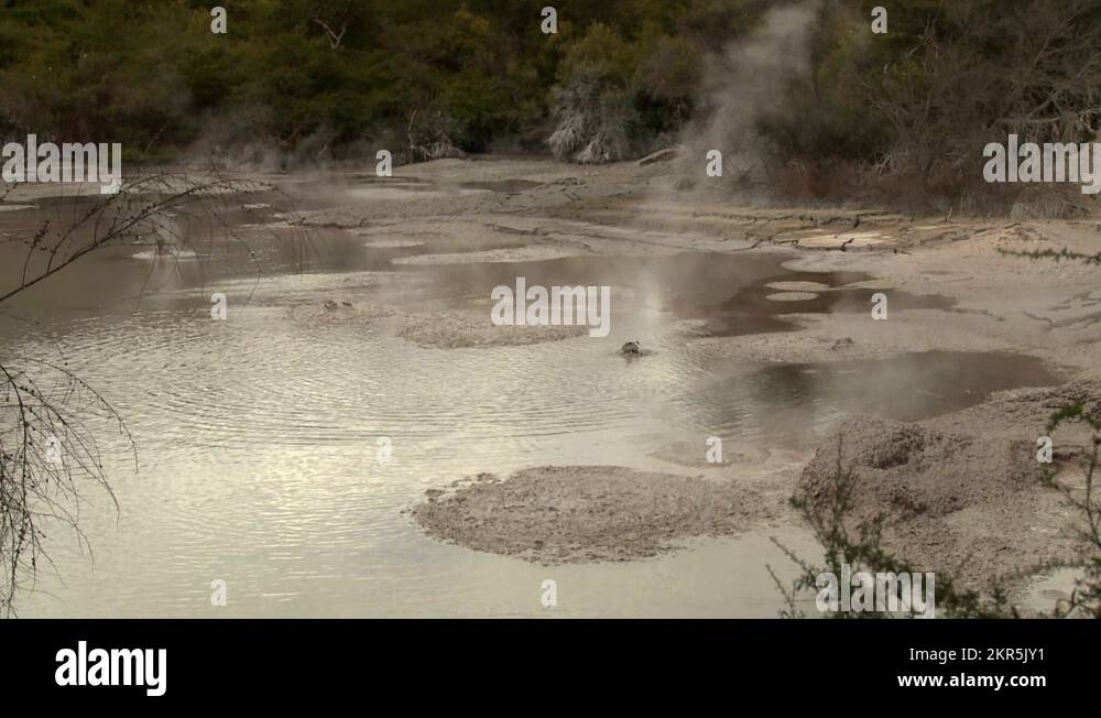 Yellowstone sulphur pools Stock Videos & Footage - HD and 4K Video ...