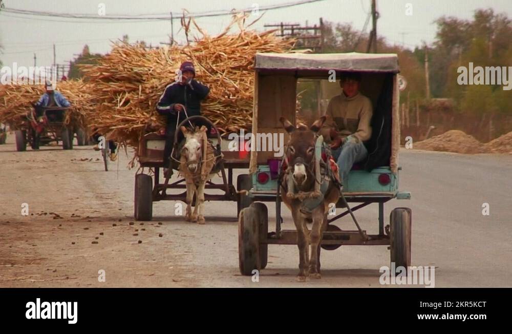Horsedrawn vehicles Stock Videos & Footage - HD and 4K Video Clips - Alamy