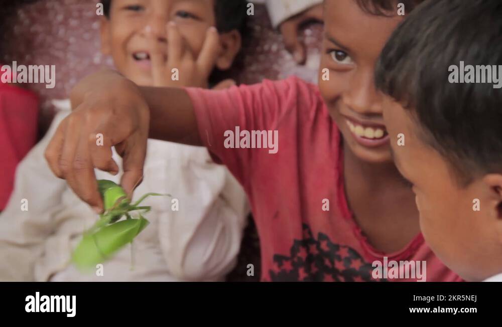Kids and insects Stock Videos & Footage - HD and 4K Video Clips - Alamy