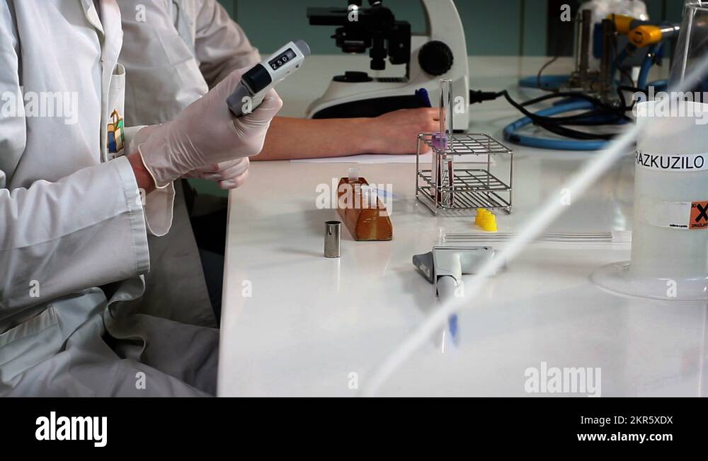 Student experiment microscope Stock Videos & Footage - HD and 4K Video ...