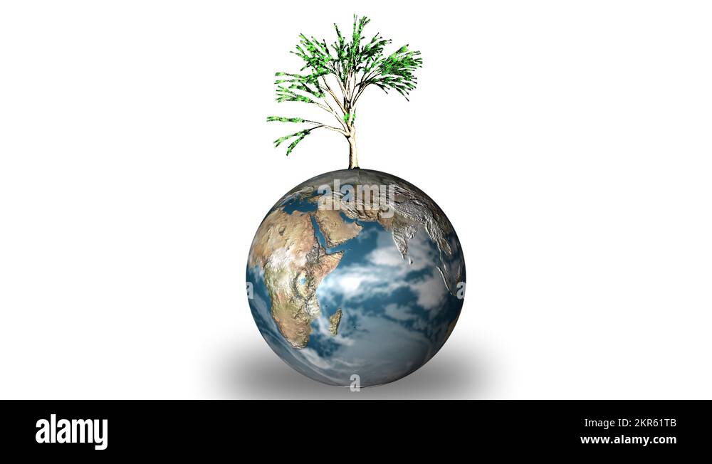 Earth map tree Stock Videos & Footage - HD and 4K Video Clips - Alamy