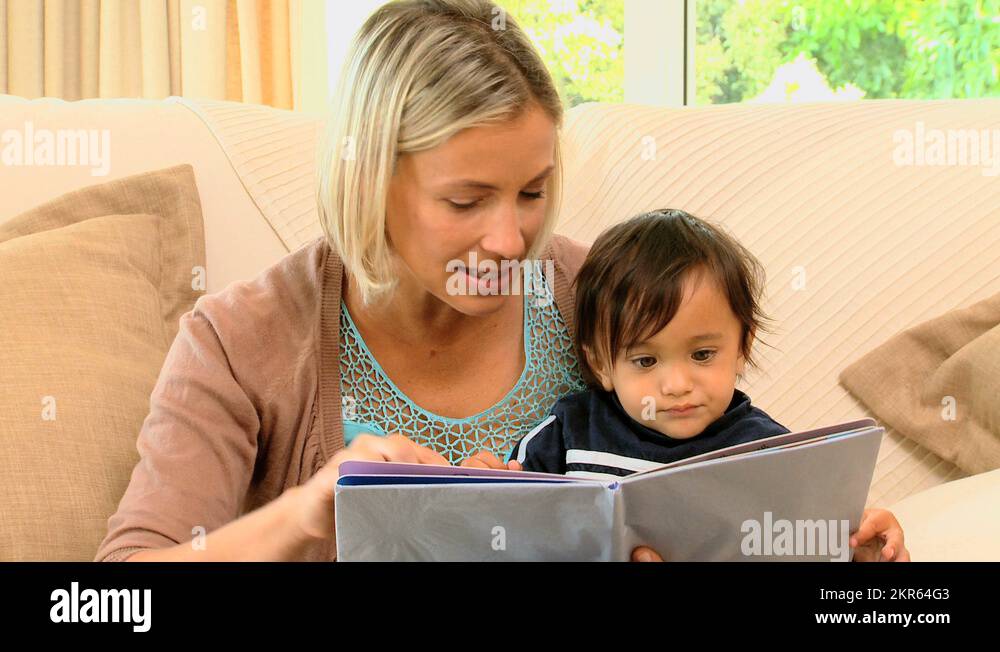 Reading with a book on her lap Stock Videos & Footage - HD and 4K Video ...