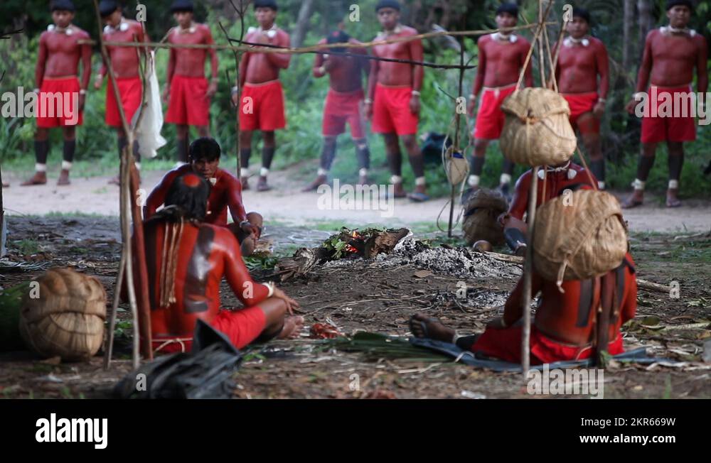 Indios amazon Stock Videos & Footage - HD and 4K Video Clips - Alamy