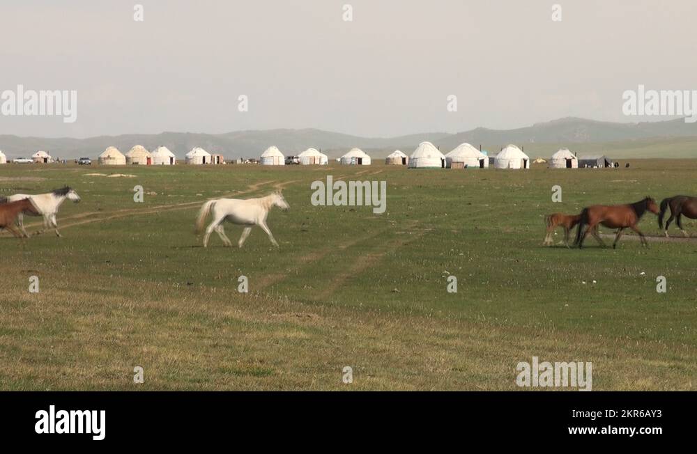 Nomadic structure Stock Videos & Footage - HD and 4K Video Clips - Alamy