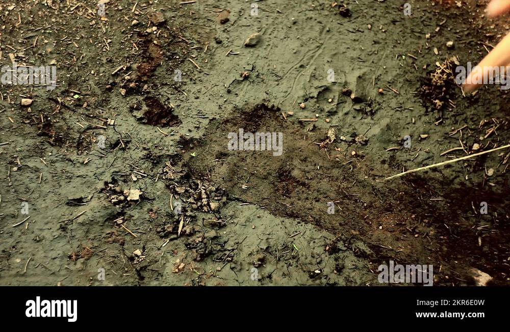 Footprint foot Stock Videos & Footage - HD and 4K Video Clips - Alamy