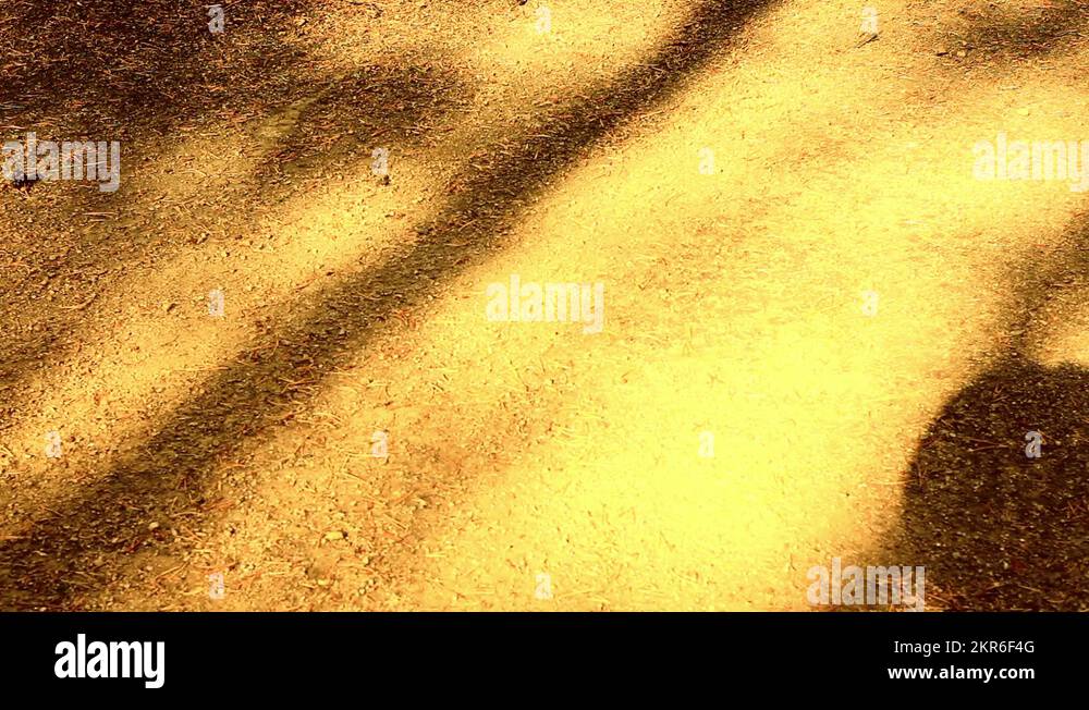 Man cowboy rifle Stock Videos & Footage - HD and 4K Video Clips - Alamy